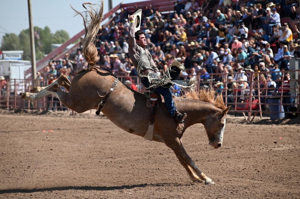 How Rodeo Culture Shapes Community and Tradition in Rural America ...